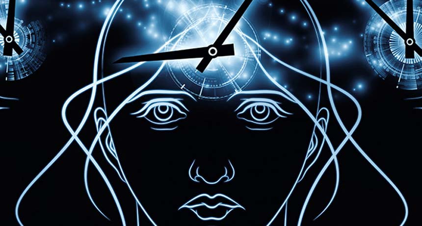 Biological Rhythms: What are They and How do They Work?